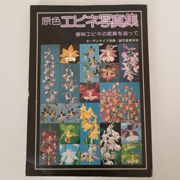 中古品−可経年の使用、保管によるヤケ、汚れ、くすみ、スレ、ヨレ、キズ、シミなどがございます。角折れがあります。経年のダメージはございますが通読に問題ございません。現状での出品とさせていただきます。