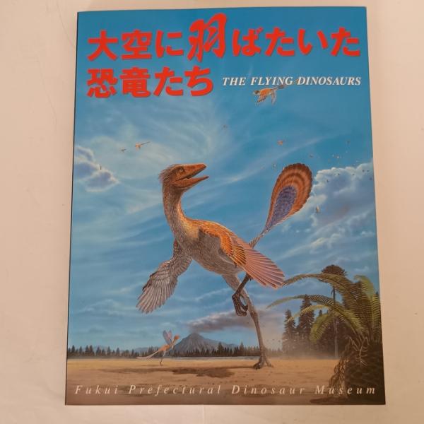中古品−可経年の使用、保管によるヤケ、汚れ、くすみ、スレ、ヨレ、小傷、シミなどがございます。経年のダメージはございますが通読に問題ございません。現状での出品とさせていただきます。
