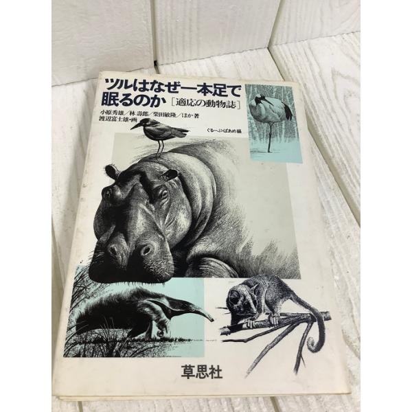 中古品−可経年の使用、保管によるヤケ、汚れ、くすみ、スレ、ヨレ、小傷、シミなどがございます。経年のダメージはございますが通読に問題ございません。現状での出品とさせていただきます。