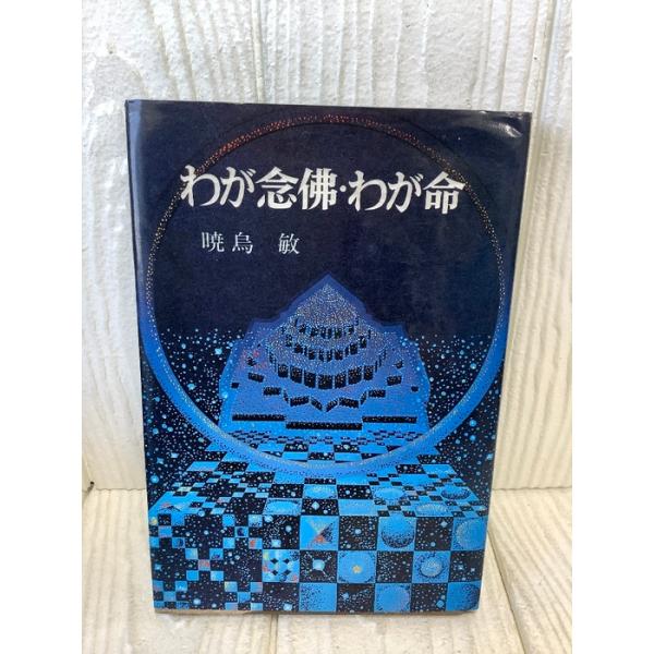 中古品−可経年の使用、保管によるヤケ、汚れ、くすみ、スレ、ヨレ、キズ、シミなどがございます。経年のダメージはございますが通読に問題ございません。現状での出品とさせていただきます。