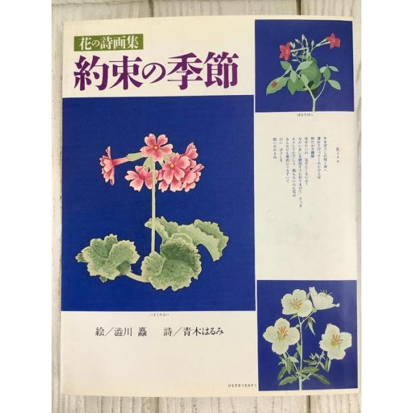 中古品−良い経年の使用、保管による多少のスレ、ヤケ、汚れ、くすみ、小傷がございます。多少の使用感はございますが概ね良好です。通読に問題ございません。現状での出品とさせていただきます。画像の様な書店値付けシールの貼付けがございます。