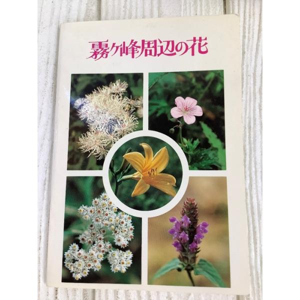 中古品−可経年の使用、保管によるヤケ、汚れ、くすみ、スレ、ヨレ、小傷、シミなどがございます。経年のダメージはございますが通読に問題ございません。現状での出品とさせていただきます。
