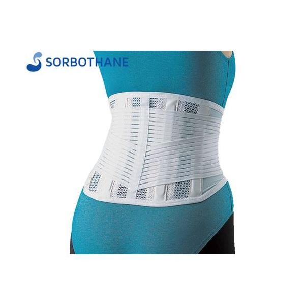 ・軟質ボーン、パワーネット特殊メッシュ、補助ゴムが腰椎をサポート。薄型、軽量、ムレにくい。ソルボセイン内蔵で長時間の使用も快適です。・4本のスベリ止めテープでズレにくい。動きやすさと高いサポート力を高次元で両立。サイズ/背幅:約21.5cm...