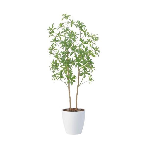 商品名：フレッシュアセビ 1.5mメーカー品番：GLPA-098お届け数：1本JANコード：4961823147357サイズ：全長150cm・幅70cm・奥行40cm素材：EVA PE PP PS 石 鉄 木(鉢:PP)