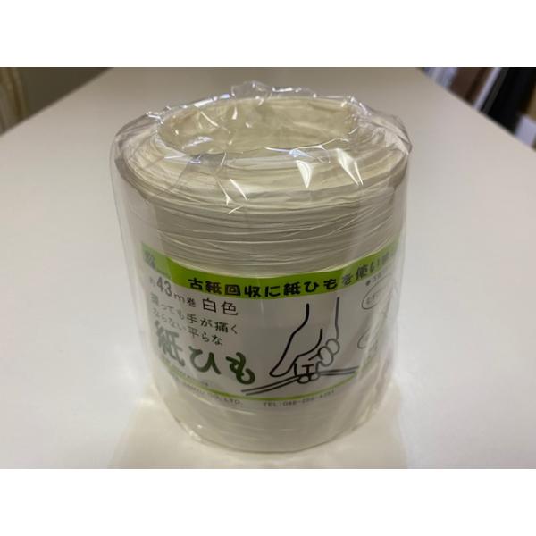 ●新聞や雑誌などの処分に最適！●握っても痛くならない平らな紙ひもです。