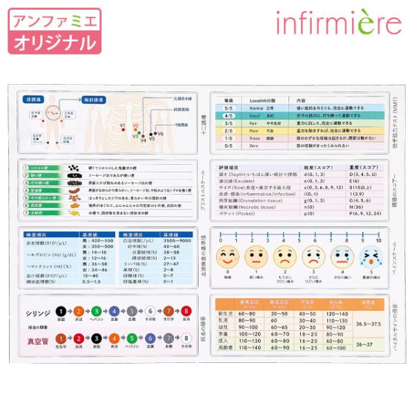 8種の情報シールを組み合わせてオリジナルのカードが作れるセット！シールは下記内容のセットになっています。・十二誘導・ブリストルケース・血液検査の基準値・採血の順番・従手筋力テスト（MMT）・褥瘡のスコアー・ペインスケール・バイタルサインの目...