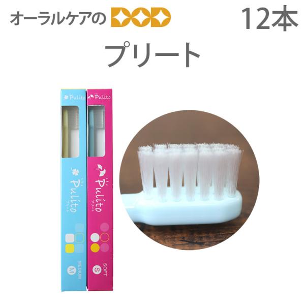 大人用歯ブラシ　Pulito　プリート　12本   角のコンパクトヘッド 。やさしい毛先 。スリムなロングネック 。やすらぐパステルカラー 。丸みを帯びた太めのハンドルカラー：イエロー・ピンク・ホワイト・ブルー　カラー指定を承ることは出来ま...