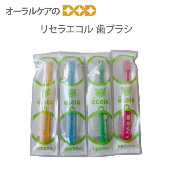 12本 リセラエコルデュポン社製ナイロン毛を使用。全長約146mm　ヘッド：9×21mm4色アソート：レッド・グリーン・ブルー・イエロー中国製