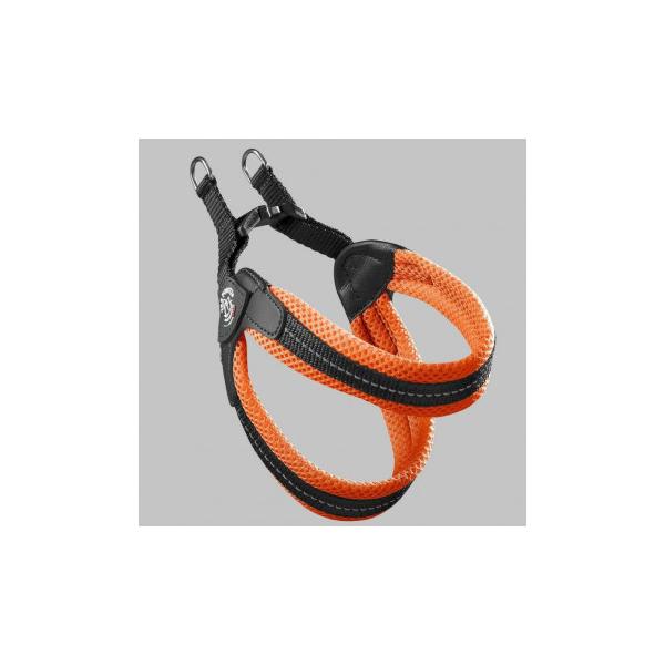小型犬用に設計されたハーネスです。背中のバックルは簡単に着脱可能で、毎日の散歩やドッグラン、アジリティーなどの運動をする際に動きを妨げないシンプルな設計です。柔らかく触り心地の良いソフトメッシュ生地は軽くて通気性があり負担になりにくく、 光...