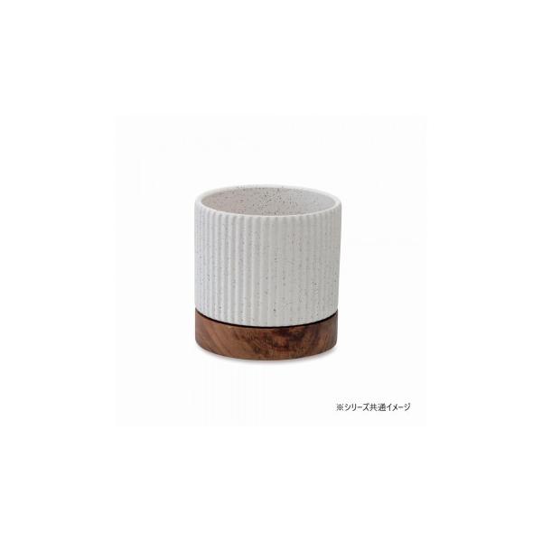 タイディポットです。<br>●こちらの商品は、北海道・沖縄・離島への配送は、別途送料がかかる場合がございますので、予めご了承くださいませ。