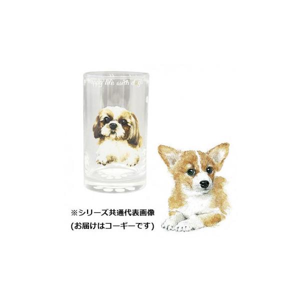 定番グラス!使いやすいサイズなの普段使いにピッタリです。ご自分用、プレゼントにもおすすめのグラスです。<br>●こちらの商品は、北海道・沖縄・離島への配送は、別途送料がかかる場合がございますので、予めご了承くださいませ。