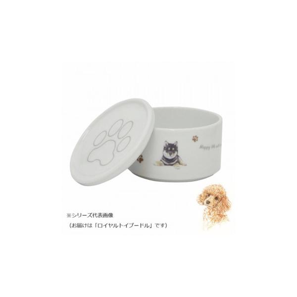 重ねて収納しやすく、蓋はお皿としても使えるスタッカーです。蓋をしたまま、蓋なしでもスタックできます。ご自分用、プレゼントにもおすすめです。<br>●こちらの商品は、北海道・沖縄・離島への配送は、別途送料がかかる場合がございますの...