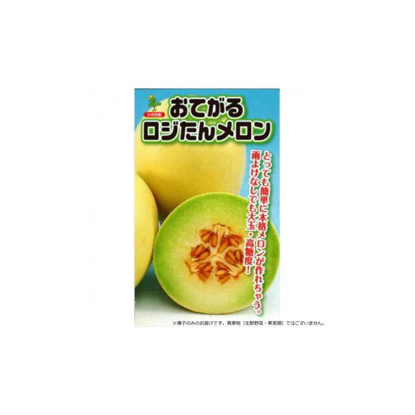 栽培容易で雨除けなし放任栽培でも収穫できる白皮ノーネットメロンです。登熟日数40日で極早生品種。果重は1.5〜2.0kgで肥大性に優れています。果肉は緑白色で緻密、糖度14〜17度。収穫後の日持ちにも優れます。<br>●こちらの...