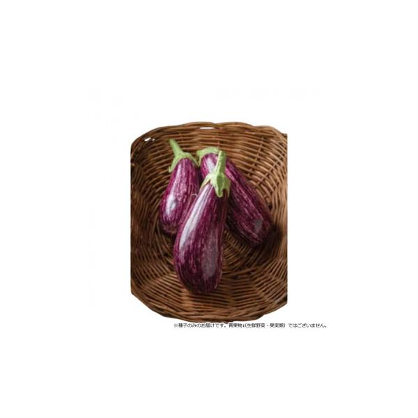 紫と白のコントラストが印象的なイタリアンタイプの米ナスです。長卵形の果実は長さ18cm程度でガクの下まで色は変わらない。エメラルドグリーンのヘタとのコンビネーションがより一層引き立つので、直売所や青果売り場でお客様へのアピール効果も期待でき...