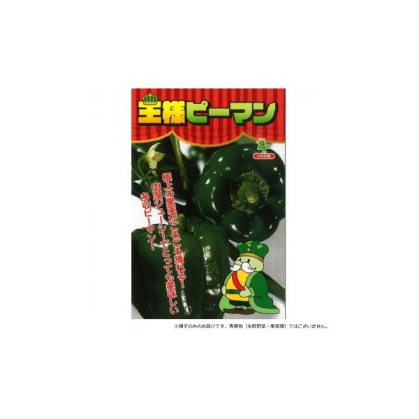 草勢旺盛、葉はやや大きく草姿は立勢です。初期草丈の発育旺盛で、極早生品種と比べて一番果の収穫がやや遅れますが、急速に生育し総収量は断然多くなります。果実は大獅子型の豊満良果、13節内外で着果、一果重100gにもなりますが、40g位から市場の...