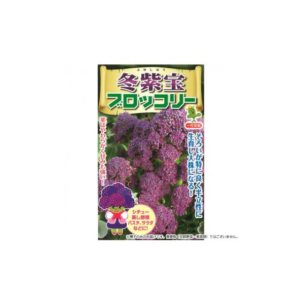 ケールに似た葉辺に欠刻のある外葉で、半立性に生育し大株になる。夏なき種で、晩生なので3月頃から多く分枝した先にブロッコリーができる。一度目の収穫を終えた後に追肥して花蕾の再生を促すと4月いっぱいまで三度ほどとれる。茹でると、緑色に近い色に変...