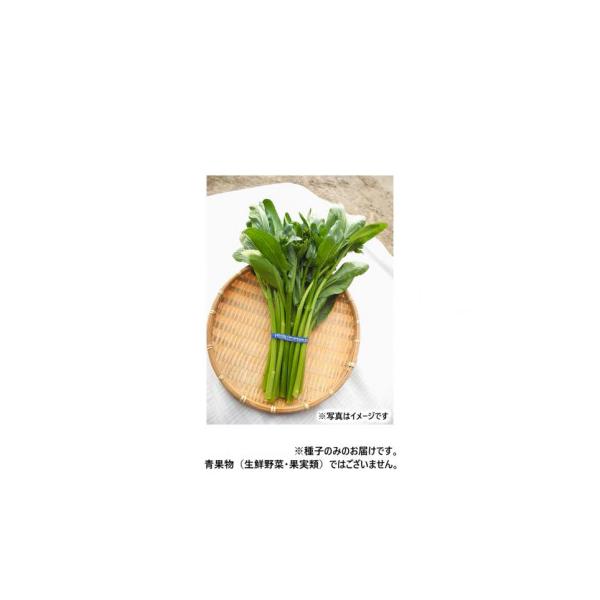 アスパラッチェは、抽苔した茎葉と花芽を食べる「ナバナ」の改良種で、アスパラガスのような風味があり食味に優れます。中国野菜のサイシンと似ていますが、青臭さやクセが無く、日本人好みの食味となります。花茎は太く柔らかく、胡麻和え、炒め物、お浸しな...