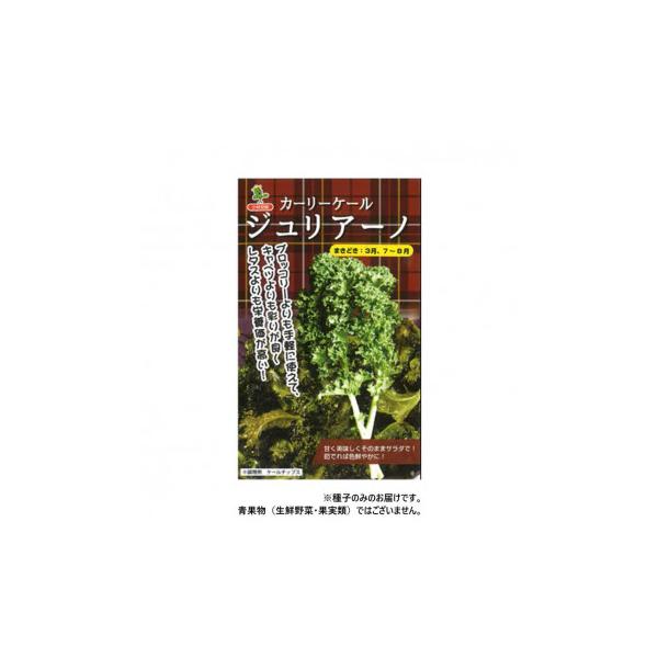 ブロッコリーよりも手軽に使えて、キャベツよりも彩りが良く、レタスよりも栄養価が高い。葉を刻めばパセリの代わりもOK。小さくカールしたちりめん状の細長い葉が特徴です。見た目より柔らかく、苦みや青臭さはほとんどない。サラダ・スムージー・青汁から...