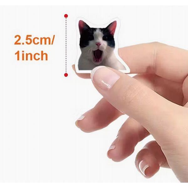 猫の図柄のシールですアピール抜群デザインは,10種類で発送となります