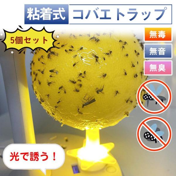 【商品説明】カラー：/画像通り---------■商品説明:気がつけば虫が部屋の中に！食事中にプーンと飛び回ってうんざり！この粘着式コバエ取りなら、光で虫をおびき寄せてしっかりキャッチ。お部屋を快適な「虫のいない空間」へ変えるお手伝いをしま...
