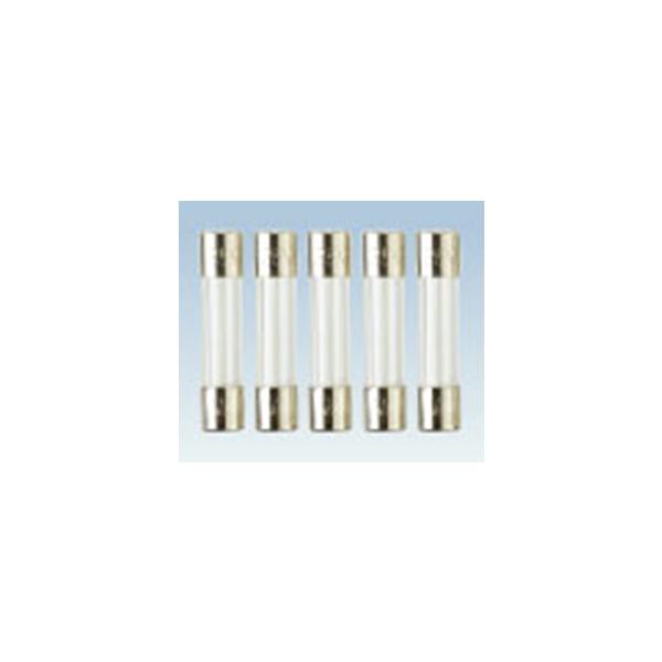 ヒューズAC用1A（5本）■AC、DACの交換用ヒューズです。