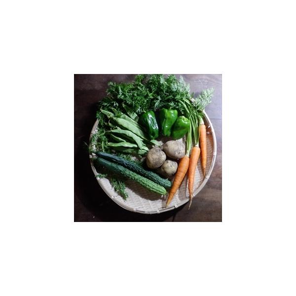 ●5-6種類ほどの野菜が入ります●ほとんどの野菜は出荷当日に収穫した新鮮なものです。●無肥料栽培の野菜はまだまだ希少でスーパーでは購入できません。●野菜は色が明るく、えぐみがなく野菜本来の味が楽します。注意！無洗浄の土付きです。虫がついてい...