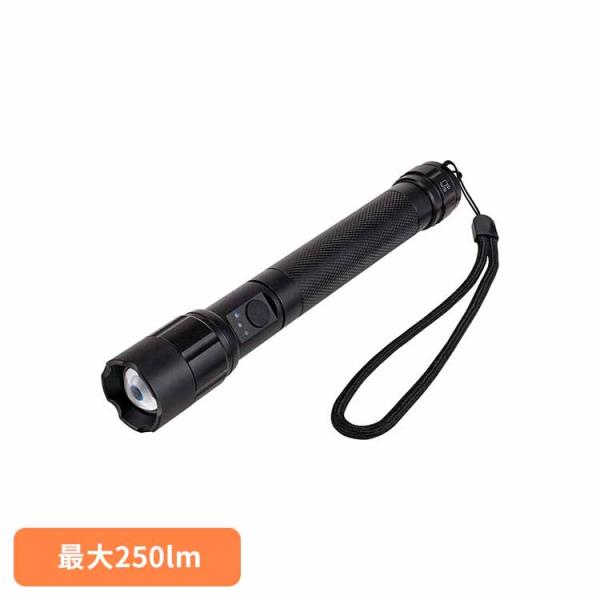 [検索用：ELPA エルパ 懐中電灯 灯器 ライト 防災 災害 緊急時 電池残量 インジケーター 4901087224371]