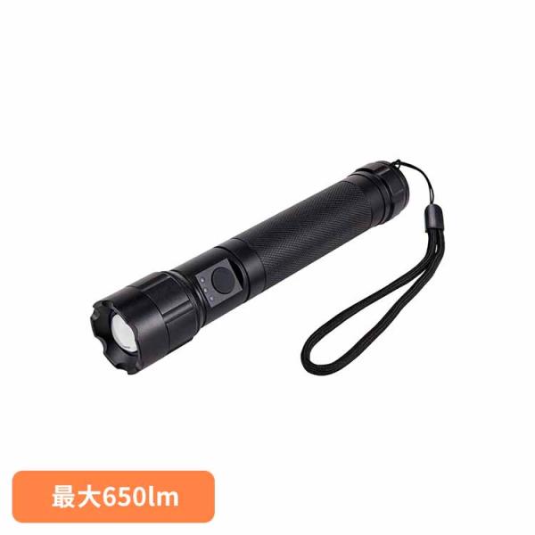 [検索用：ELPA エルパ 懐中電灯 灯器 ライト 防災 災害 緊急時 電池残量 インジケーター 4901087224401]