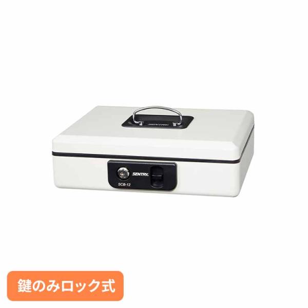 [検索用：金庫 手提げ金庫 鍵式 防犯 4580453651197]■翌日優良配送対象の商品につきまして■下記の場合は対象外となります。・お届け先が対象地域外の場合(離島も対象外)・13時以降(休業日は12時以降)のご注文の場合・決済完了確...