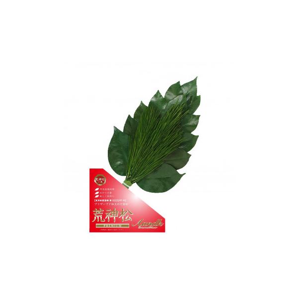 本物の荒神松をプリザーブド加工しております。大変な水換えが不要でみずみずしさが長く続きます。茎(ワイヤー製)の部分は、榊立ての大きさに合わせて折り曲げ可能です。<br>●こちらの商品は、北海道・沖縄・離島への配送は、別途送料がか...