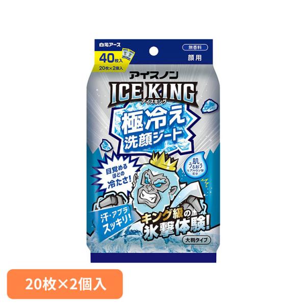 [検索用：白元アース アイスノン クール 猛暑 暑さ対策 ひんやり 4902407025289]■翌日優良配送対象の商品につきまして■下記の場合は対象外となります。・お届け先が対象地域外の場合(離島も対象外)・13時以降(休業日は12時以降...