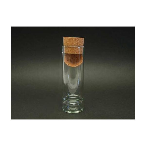 殺虫管（特大型）大きさ：４．５ｃｍ×１３．５ｃｍ素材：特肉厚硝子、コルク栓