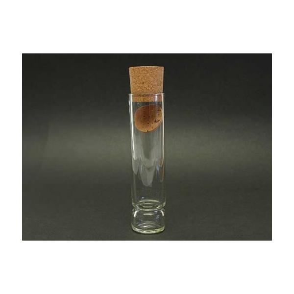 殺虫管（大型）大きさ：３ｃｍ×１３ｃｍ素材：特肉厚硝子、コルク栓