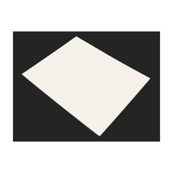 2021年3月よりペフ板が変わり旧ロットに比べより白くなりました。白色ポリフォーム（ペフ板）１０枚セット サイズ：約490×400×6mm　ポリエチレンフォーム製カラー：ホワイト 両面テープなどでタッパーや小箱の底面に貼って簡易標本箱・輸送...