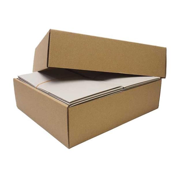 タトウ５０枚セット収納箱つき大きさの目安：約182ｍｍ×106ｍｍカット綿の大きさ：約160ｍｍ×82ｍｍ箱の外形の目安：190ｍｍ×230ｍｍ×67ｍｍ※一つ一つ手折りしていますので大きさは目安となります。※カット綿はフセツが引っかかりに...