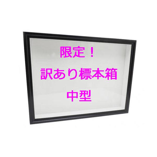 こちらは多少の傷や塗装ムラのある訳あり品です。底板には通常品と区別する為「Ａ’の書き込み」があります。「使用には全く問題がございません」ので、初心者や標本を保存出きれば問題ない方には安価ですのでオススメ！メーカーにお願いして特別に仕入れてお...