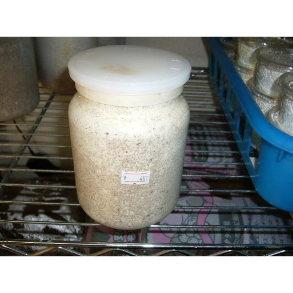 カワラタケ８００ｃｃボトルの販売です。ブナクヌギミックス微粒子８００ｃｃボトルです。暑い時期は別途クール代４４０円が必要です。