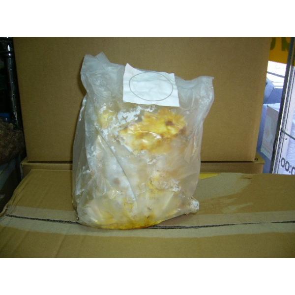 微創研製培養レイシ材L１玉の販売です。直径13cm前後１本です。タランドゥス、オウゴンオニの産卵セットに最適です。