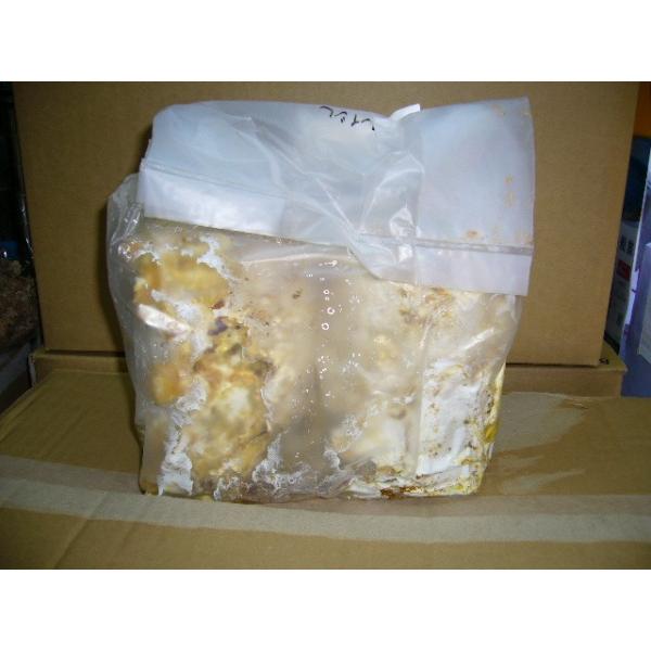 微創研製培養レイシ材L２玉の販売です。直径１1~12cm前後２本組です。タランドゥス、オウゴンオニの産卵セットに最適です。