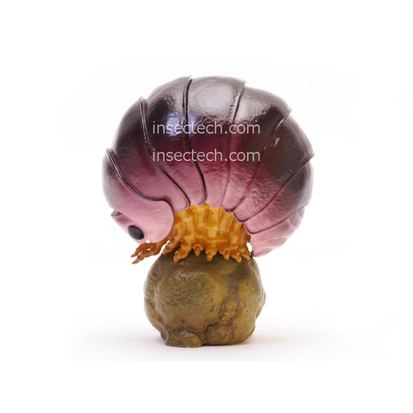 【動物の惑星】ダンゴムシ フィギュアPorceeio laevis（商品表示）Armadillidium vulgare最大全高：約54mm最大全幅：約43mm重さ：約37g※台座含む※目安としてお考えください※手のひらにポンと乗るサイズ感...