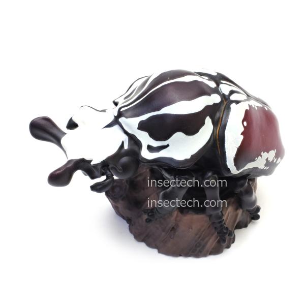 【動物の惑星】ゴライアスオオツノハナムグリ フィギュアGoliathus goliathus f.apicalis最大全高：約40mm最大全幅：約55mm重さ：約25g※台座含む※目安としてお考えください※手のひらにポンと乗るサイズ感素材：...