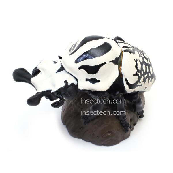 【動物の惑星】ゴライアス オリエンタリス フィギュアGoliathus orientalis最大全高：約40mm最大全幅：約55mm重さ：約25g※台座含む※目安としてお考えください※手のひらにポンと乗るサイズ感素材：PU樹脂Made in...