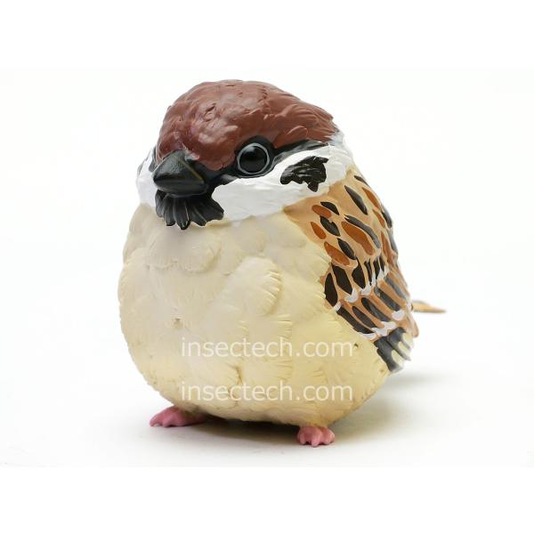 【動物の惑星】スズメ フィギュアPasser montanus最大全高：約43mm最大全幅：約59mm重さ：約30g※目安としてお考えください※手のひらにポンと乗るサイズ感素材：PU樹脂Made in China付属品：箱、中国語の解説書※...