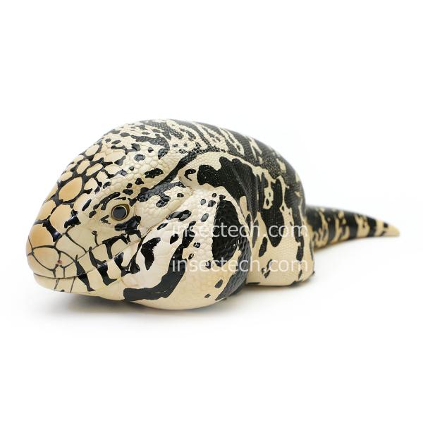 【動物の惑星】アルゼンチンブラック&amp;ホワイトテグー フィギュアSalvator merianae最大全高：約37mm最大全幅：約100mm重さ：約67g※目安としてお考えください※手のひらにポンと乗るサイズ感素材：PU樹脂Made ...