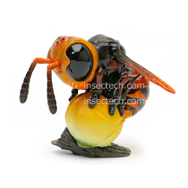【注意事項】激レアシークレットフィギュア希少品につき高額になることをご容赦ください厳重な検品をして出荷しております【動物の惑星】「シークレット」スズメバチVespa sp"figure" "Statuette"最大全高：約48mm最大全長：...