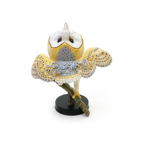 【注意事項】2025年7月に幕張メッセで開催された「ワンダーフェスティバル2025夏」会場で88体のみ販売された限定商品となります希少品につき高額になることをご容赦ください厳重な検品をして出荷しておりますシリアルNo.カード番号はお選びいた...