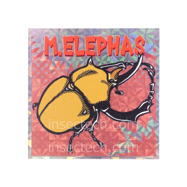 【クリックポスト発送対象商品】【駄画紙屋むしーる】エレファスゾウカブトMegasoma elephas背景やイラスト一部がキラキラするフォログラム印刷※裏面に「解説とイラスト」有りお手元に届いてからのお楽しみ♪大きさ 縦×横：約48×48m...