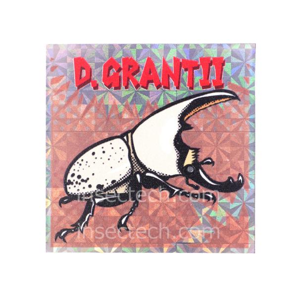 【クリックポスト発送対象商品】【駄画紙屋むしーる】グラントシロカブトDynastes grantii背景やイラスト一部がキラキラするフォログラム印刷※裏面に「解説とイラスト」有りお手元に届いてからのお楽しみ♪大きさ 縦×横：約48×48mm...
