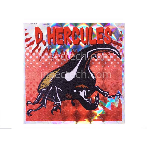 【クリックポスト発送対象商品】【駄画紙屋むしーる】ヘラクレスオオカブトDynastes hercules背景やイラスト一部がキラキラするフォログラム印刷※裏面に「解説とイラスト」有りお手元に届いてからのお楽しみ♪大きさ 縦×横：約48×48...