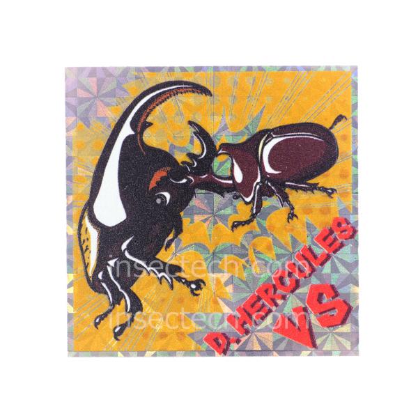 【クリックポスト発送対象商品】【駄画紙屋むしーる】カブトVSヘラクレスTrypoxylus dichotomus septentrionalisDynastes hercules背景やイラスト一部がキラキラするフォログラム印刷※裏面に「解説...